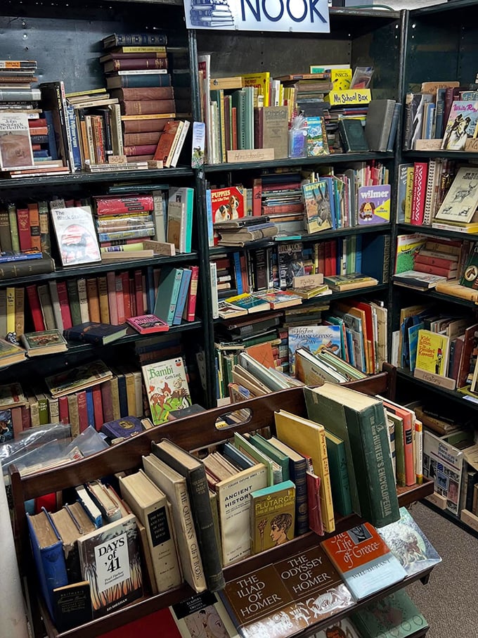 A literary corner where forgotten classics and obscure titles create a library of possibilities, each spine a doorway to another world or era.