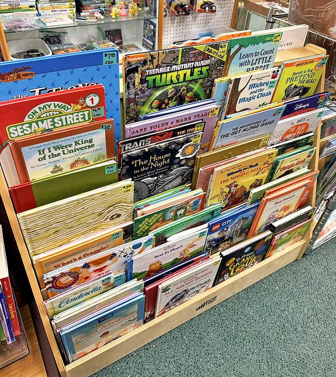 Childhood classics line these shelves, from Sesame Street to Ninja Turtles, proving some stories never lose their magic across generations.