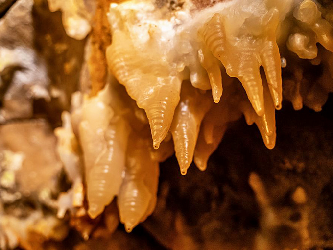 These delicate formations look like melting candles frozen in time, each one a masterpiece of patient mineral deposition.