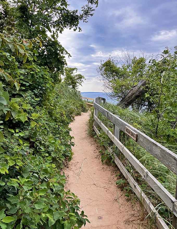 Wooden railings guide visitors along paths where one wrong step could damage decades of delicate plant growth, making staying on track both easy and essential.