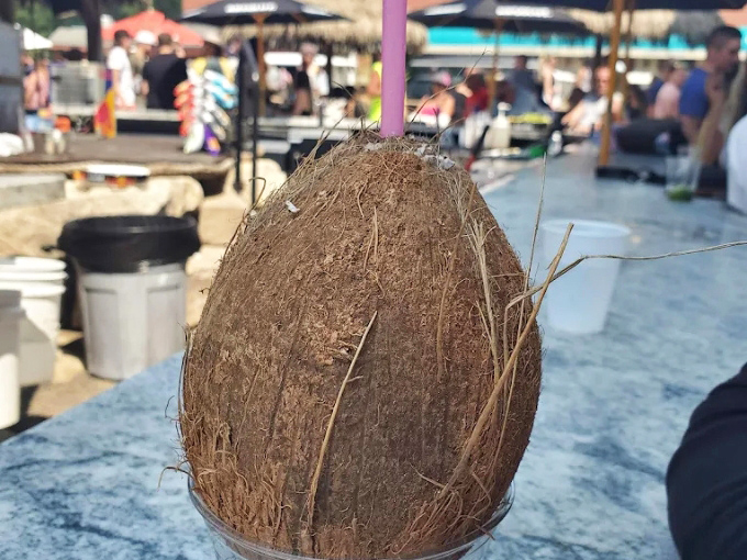 Nature's perfect cocktail vessel&mdash;a coconut that spent its whole life preparing for this moment of Instagram-worthy refreshment.