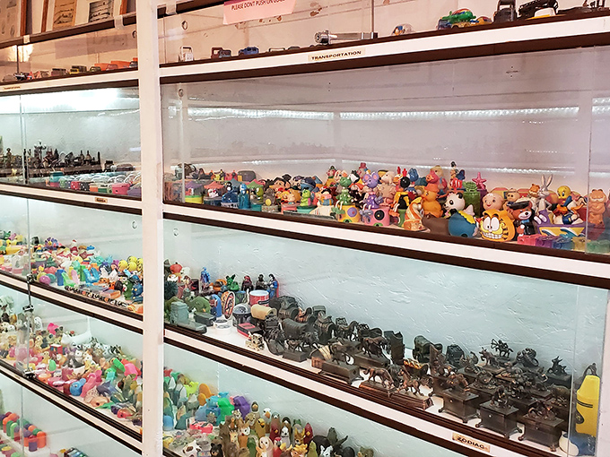 Rainbow rows of novelty sharpeners create a visual feast that would make any office supply enthusiast weak at the knees.