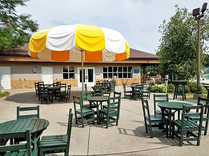 The concession patio &ndash; where chlorine-scented families refuel on classic summer fare before diving back into aquatic chaos.