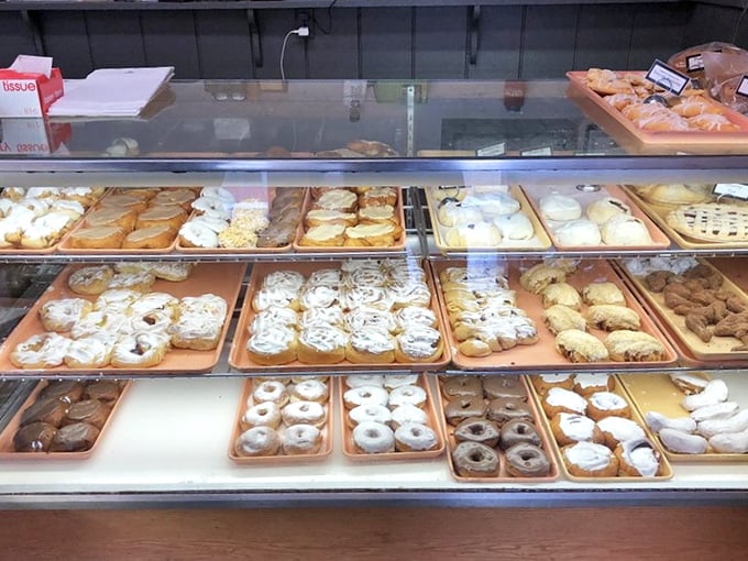The display case offers a geography lesson in deliciousness, with each section representing a different province of pastry perfection.