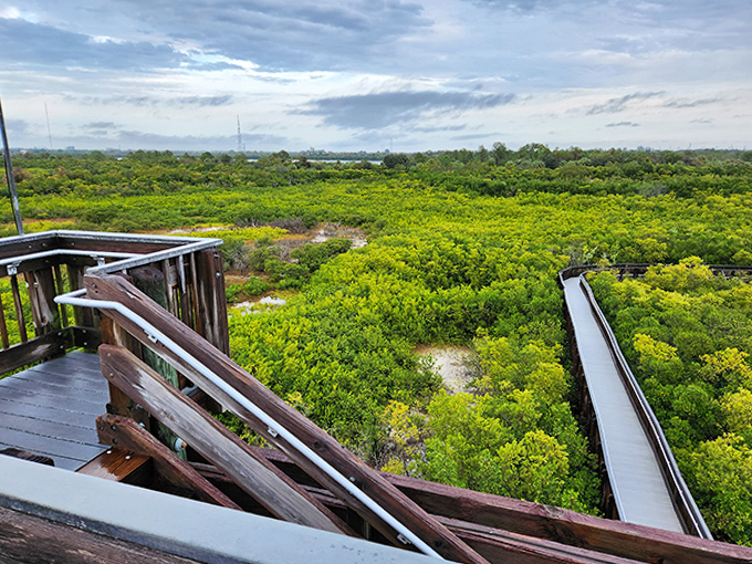 From this wooden perch, visitors can spot everything from soaring eagles to the occasional manatee &ndash; better than any nature documentary.