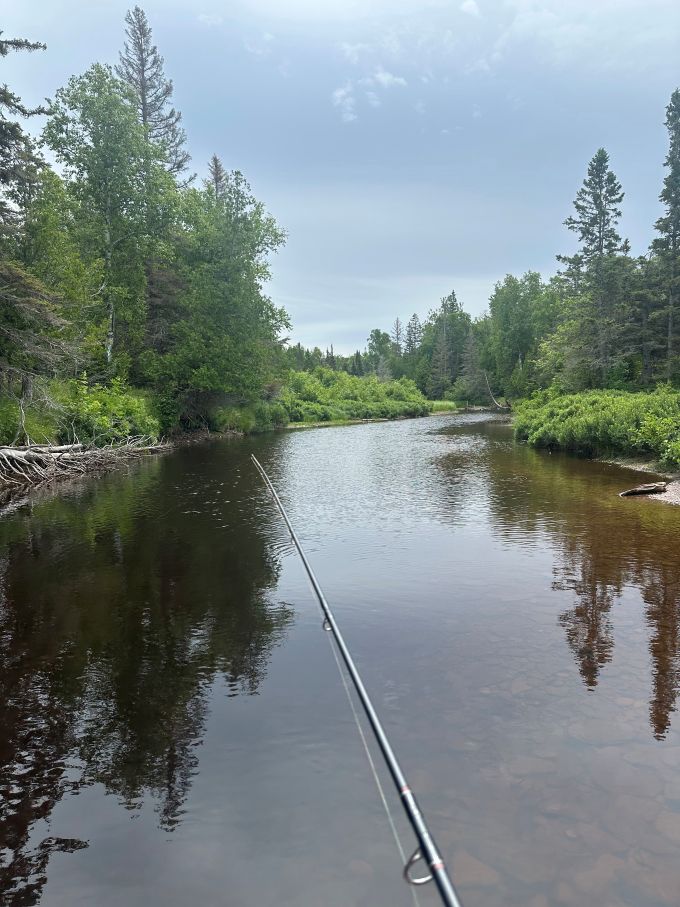 Cast a line into these pristine waters where brook trout and steelhead swim freely, far from the crowds of more popular fishing spots.