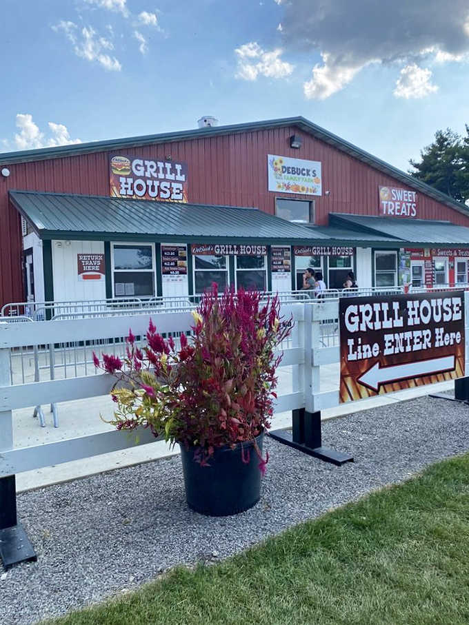 The farm's red barn houses a welcoming eatery where hungry visitors can refuel after flower adventures, with clear signage directing the hungry masses.