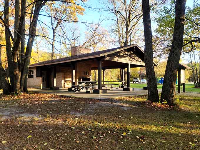 Picnic shelters provide the perfect spot for refueling after your waterfall adventure, because even nature lovers need to eat and preferably without ants joining the party.