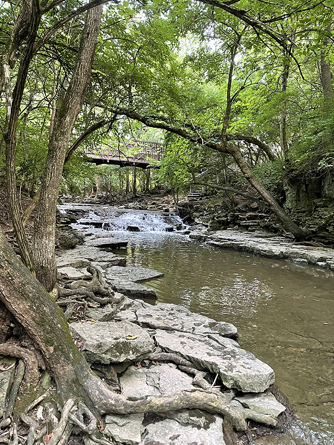 Indian Run Falls offers another cascade experience nearby, proving Columbus is secretly blessed with multiple waterfall wonders.