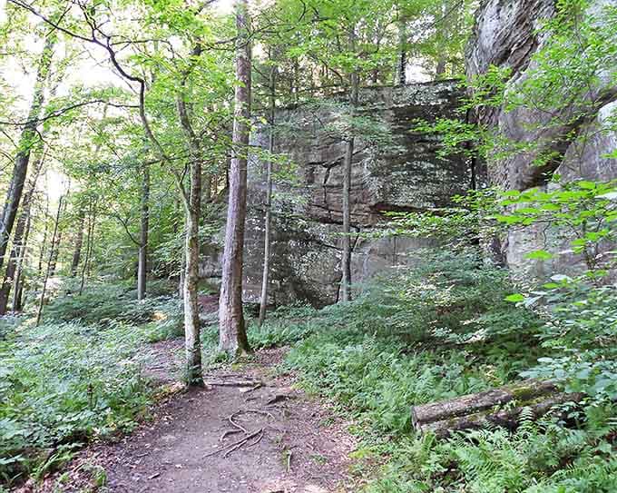 Massive rock formations stand like ancient guardians, watching over forest paths that have felt footsteps for countless generations.