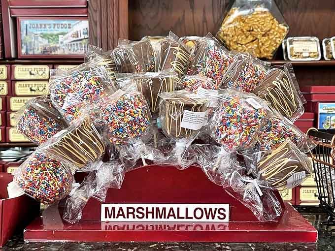 Chocolate-dipped marshmallows arranged in a perfect arch &ndash; because regular marshmallows weren't quite indulgent enough for Mackinac Island standards.