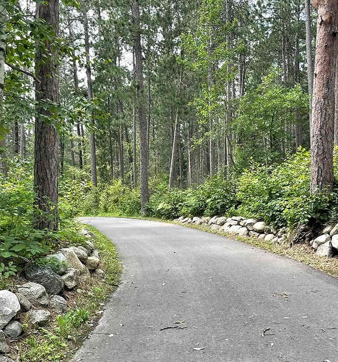 This isn't just a bike path – it's nature's cathedral, where sunlight filters through pine needles creating stained-glass patterns on the trail.