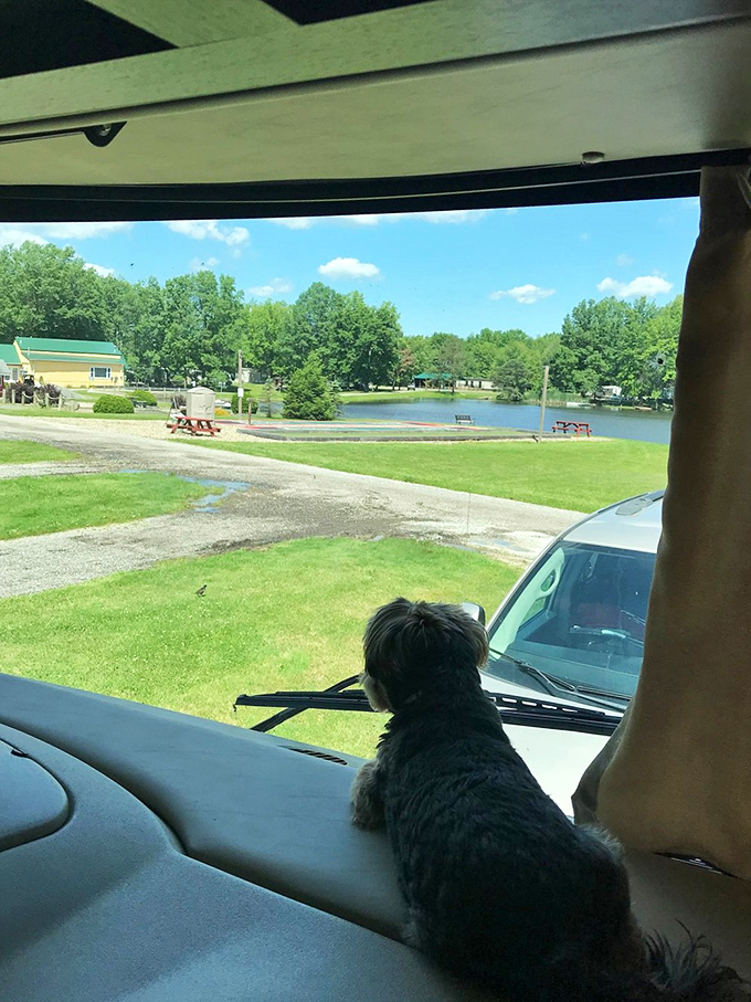 Even the family dog gets to enjoy paradise, because leaving pets behind would be like leaving part of your heart at home.