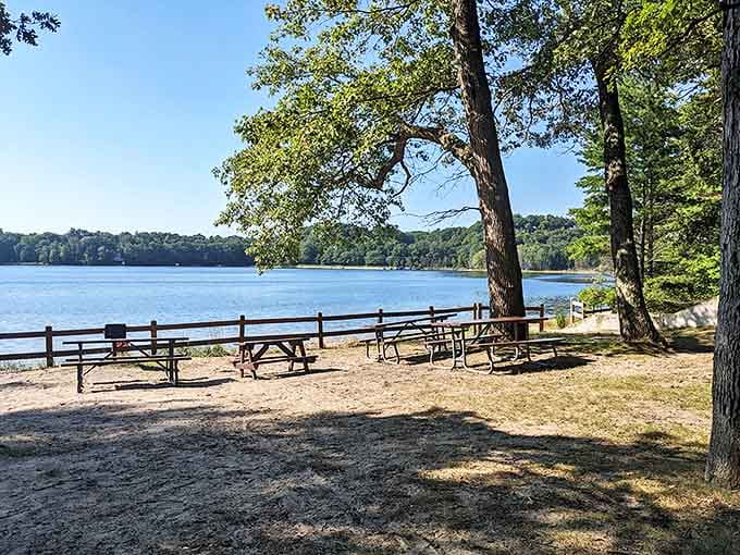 Picnic tables with million-dollar views await beneath towering trees, where sandwiches somehow taste better with a side of serenity.