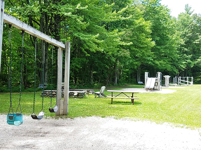 Simple pleasures await at the playground, where kids can burn energy while parents secretly wish they could join the fun.
