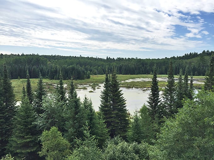Mother Nature's masterpiece unfolds in layers of forest, wetland, and water &ndash; a living landscape painting that changes with each passing season.