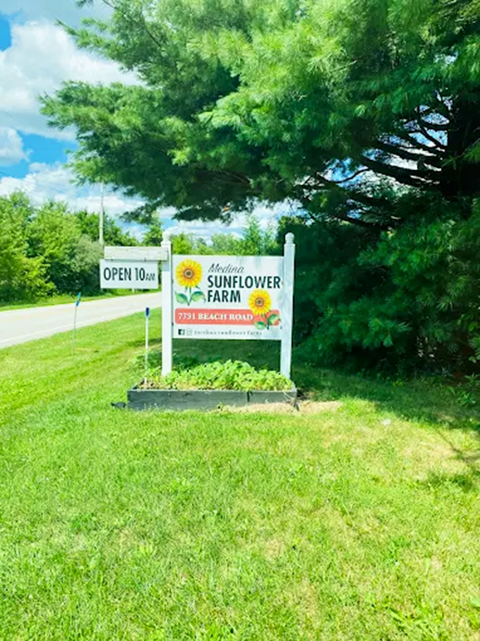 The welcoming sign that promises floral adventures ahead &ndash; your first hint that something special awaits down this country road.