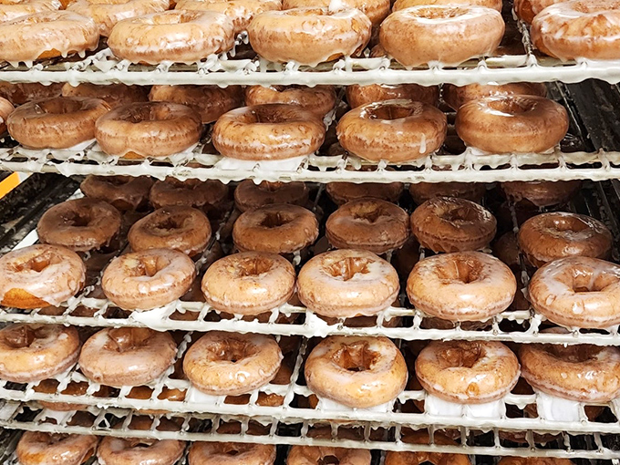 Golden-brown sour cream donuts lined up like soldiers, their perfect rows promising that subtle tang that makes them the sophisticated cousin in the donut family.