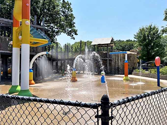 The splash pad area offers sweet relief on hot summer days, where children dart through water jets like tiny meteorologists studying unpredictable weather patterns.