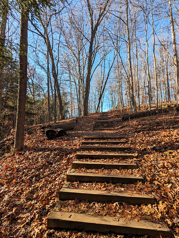 Rustic wooden steps climb through autumn's golden carpet &ndash; nature's stairway to heaven, minus the Led Zeppelin soundtrack but with plenty of natural acoustics.