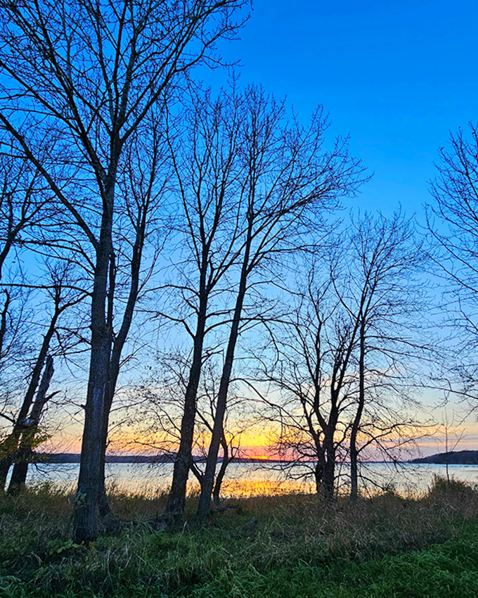 Sunset through bare branches creates nature's stained glass window, a cathedral moment that makes even non-religious folks whisper "amen."