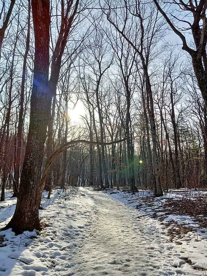 Snow-dusted trails create a winter hiking experience that's equal parts beautiful and "why didn't I wear warmer socks?"