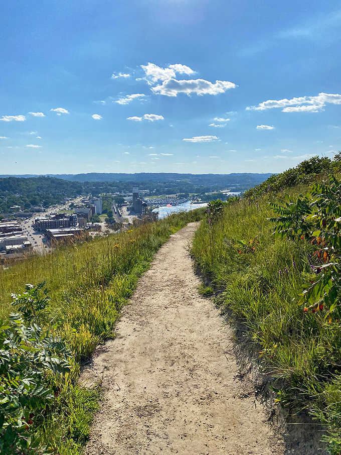 This unassuming dirt path doesn't just lead somewhere—it becomes somewhere, a ribbon of adventure cutting through summer wildflowers.