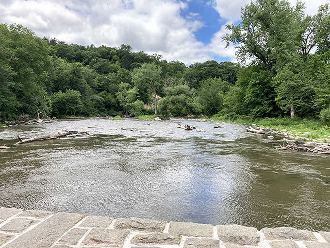 The South Branch of the Root River flows clear and cool through the park, supporting abundant trout that make anglers' eyes light up.