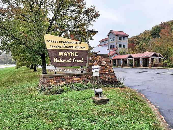 Where forest meets signage in a perfect Ohio moment &ndash; nature's majesty with just enough civilization to find your way back.