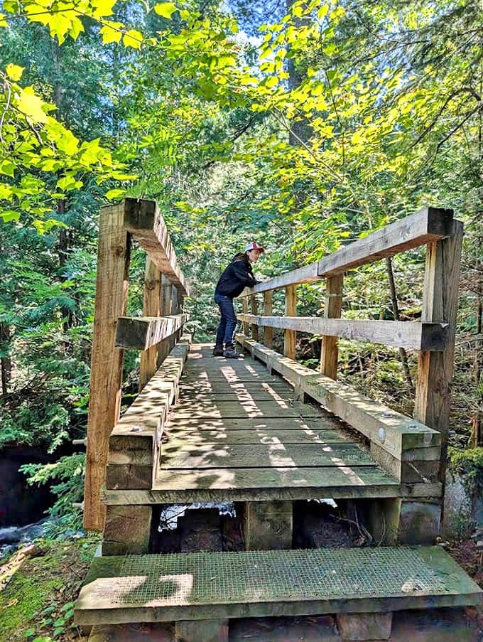 This rustic footbridge seems transported from a storybook, offering both practical creek crossing and the perfect spot for contemplative pauses.