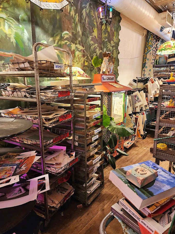 Literary treasures await in every corner, with vintage books stacked precariously in organized chaos &ndash; each spine representing a world waiting to be rediscovered.