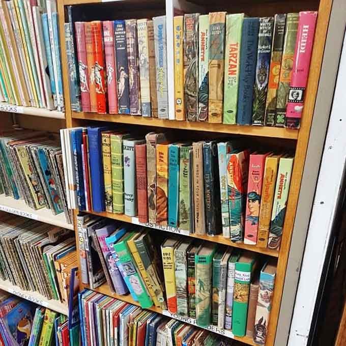 Childhood classics line these shelves, their dog-eared pages and worn spines testaments to bedtime stories lovingly read.