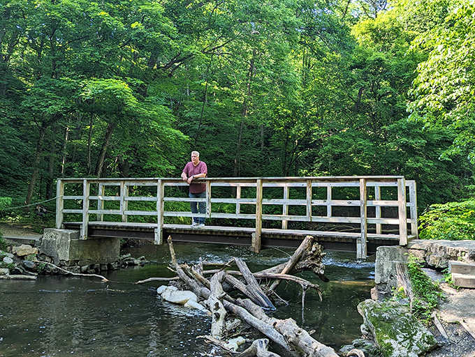 This charming wooden bridge looks like it belongs in a fairy tale, though thankfully without any trolls demanding payment underneath.