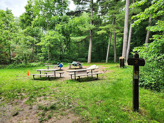 Rustic picnic tables await beneath towering pines, offering a peaceful respite where sandwiches somehow taste better with a side of wilderness.