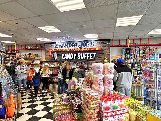 Candy hunters in their natural habitat, foraging through sweet terrain with the focused determination of sugar-seeking missiles.