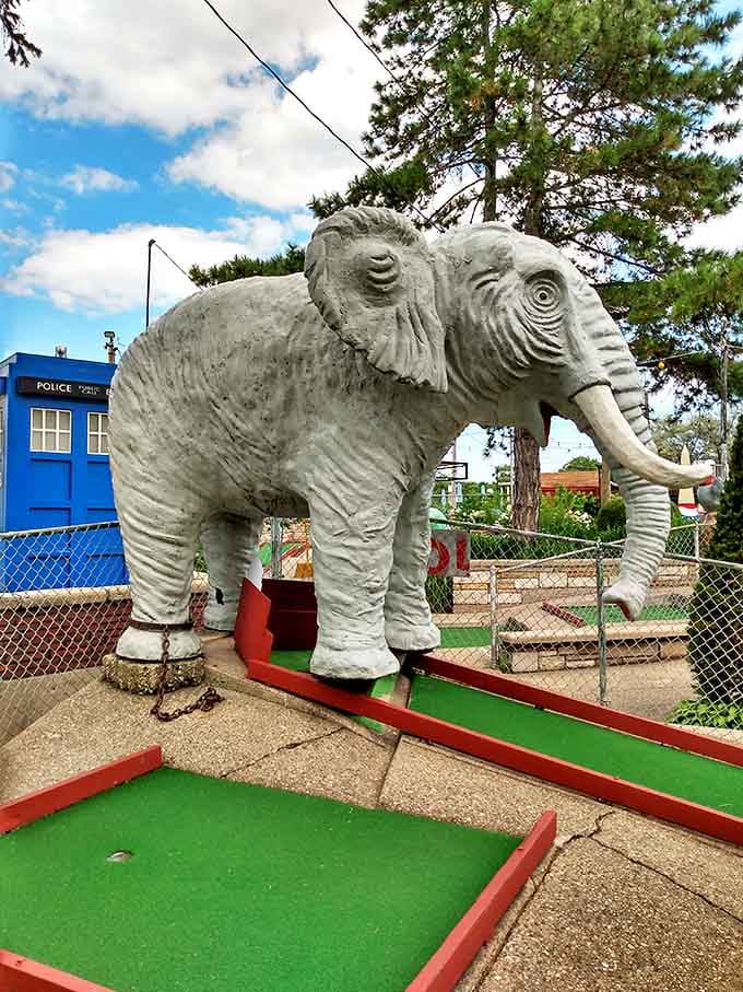This magnificent elephant has seen thousands of balls pass beneath his trunk, standing as a gray guardian of mini-golf dreams and family traditions.