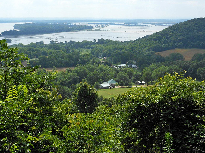Nature's cathedral of green embraces the landscape, where the Mississippi carves its ancient path through valleys of unspoken history.