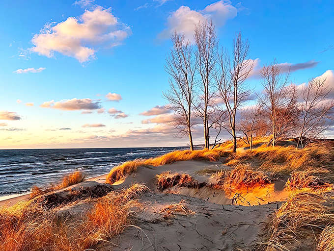Golden hour at Oval Beach turns everything into a painting, with trees silhouetted against a sky that's showing off in the best possible way.