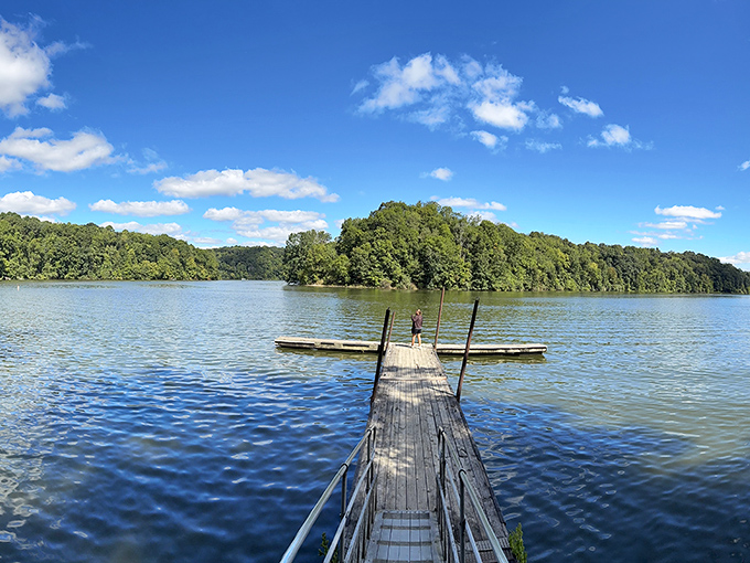 A wooden dock invites contemplation, fishing adventures, or the perfect spot to practice your "I'm on a boat" pose without an actual boat.