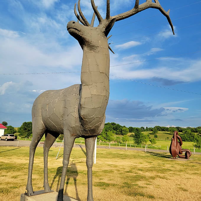 Majestic metal meets Minnesota wildlife in this impressive elk sculpture, standing proud with antlers reaching toward the sky.