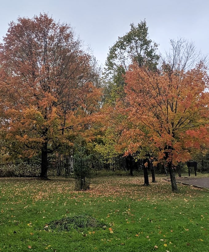 Fall's fiery display creates a perfect backdrop for an afternoon of exploration and wonder.