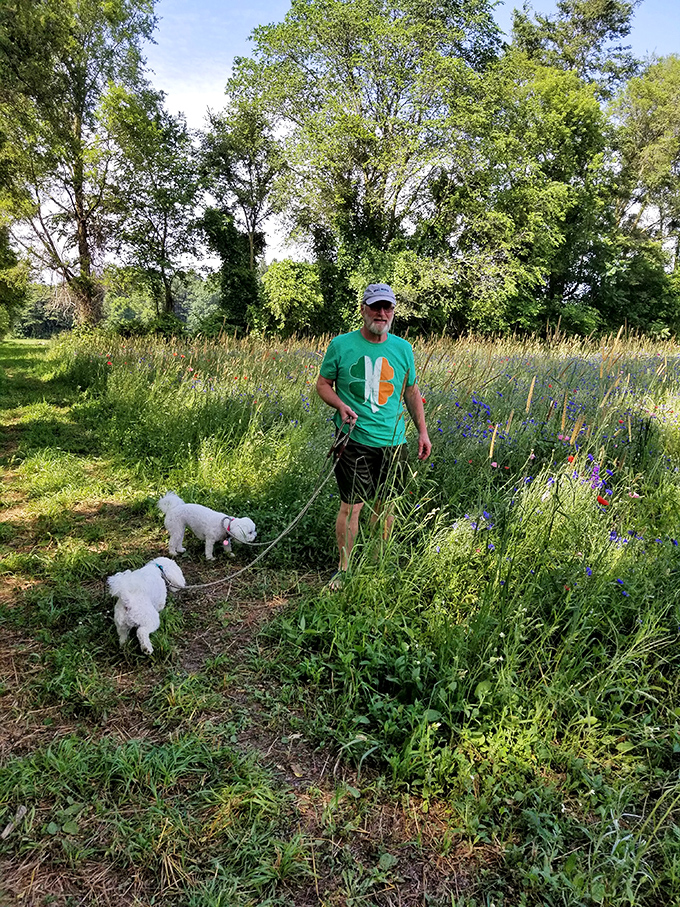 Man's best friends discover the joy of wildflower exploration, their curiosity matching their owner's appreciation for nature's simple pleasures.