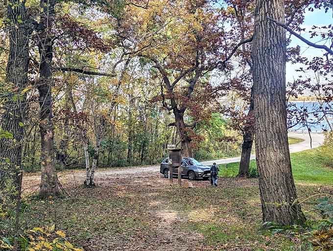 Where forest meets parking area &ndash; the humble gateway to an experience that's anything but ordinary.