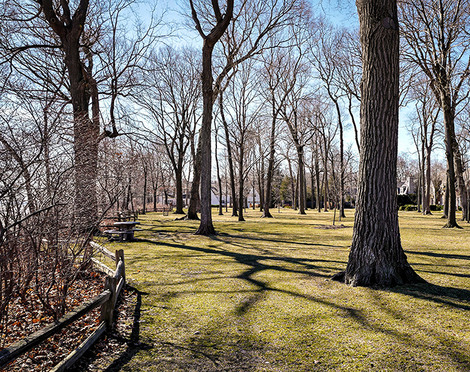 Towering trees create natural cathedral ceilings over this peaceful park space, where benches invite visitors to pause and appreciate the simple pleasure of doing absolutely nothing.