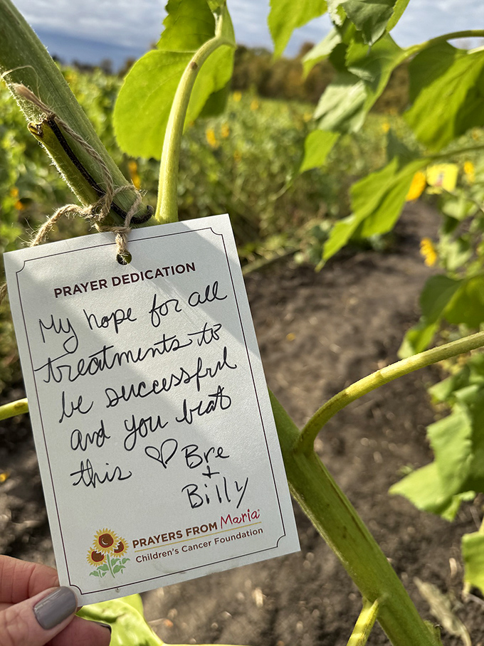Handwritten hopes flutter among the stalks, transforming sunflowers into living prayer flags carrying wishes toward the sky.