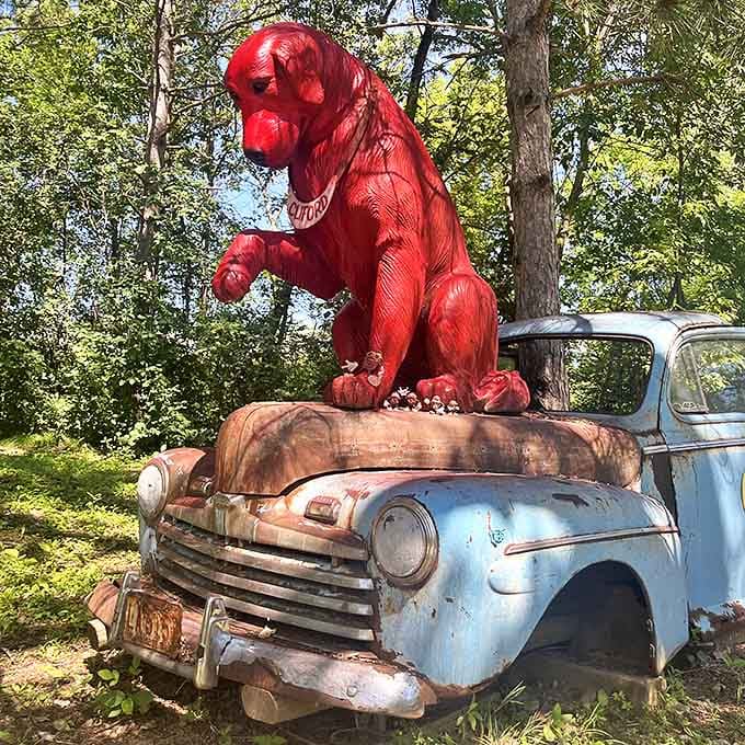 This crimson canine commands attention from atop its vintage vehicle throne, a splash of vibrant color against the Minnesota landscape.
