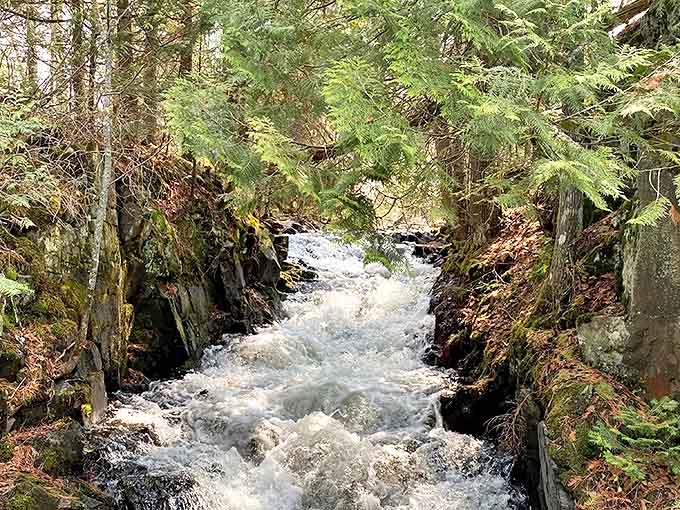 The stream rushes forward with the enthusiasm of someone late to dinner, carving its path through ancient rock with persistent determination.