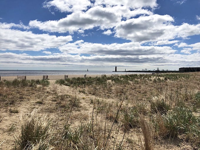 Dune dreams: Where native grasses dance in the breeze while lighthouse sentinels stand watch in the distance.