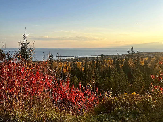 Autumn's fiery display meets Lake Superior's endless blue horizon – a color combination Mother Nature clearly saved for special occasions.