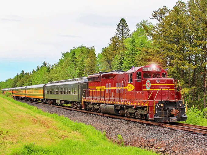 The vibrant red engine pulls vintage cars through a corridor of spring greenery, a moving postcard of Minnesota's natural beauty.